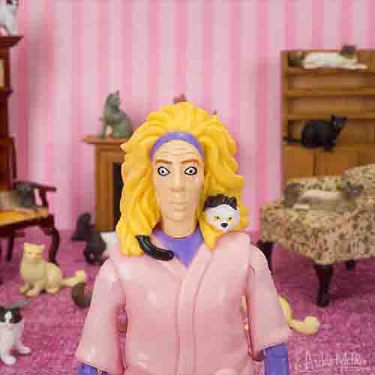 Crazy Cat Lady Action Figure Set - Cool Things To Buy